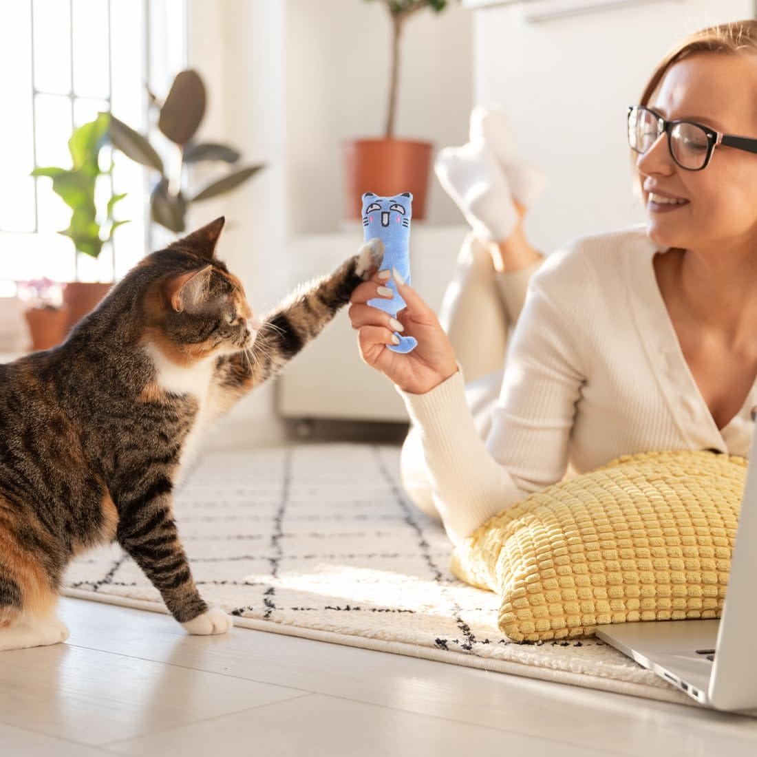 Examen de l'AAED 4 Pièces Jouet Chat - Chat Chou