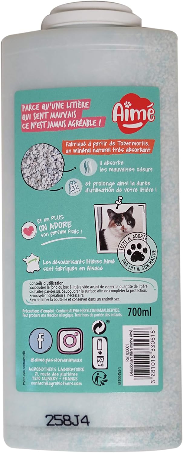 Animaux domestiques - Chat Chou